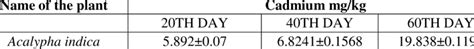 Cadmium Total Accumulation Standard Deviation Of Selected Plants