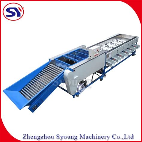 Small Fruit Classification Machine Roller Type Blueberry Cherry Grading