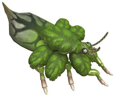 Taxon Phylliidae Sporewiki Fandom