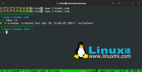 linux 终端复用神器 tmux 使用详解，看完我飘了～ 良许linux教程网