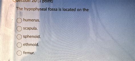 Question 20 1 Point The Hypophyseal Fossa Is Located On The Humerus Scapula Sphenoid