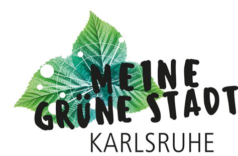 Thomas Breunig Die Pflanzen In Der Stadt Gehölze Zkm