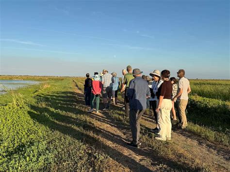 Explore The Yolo Bypass Wildlife Area With Yolo Basin Foundation