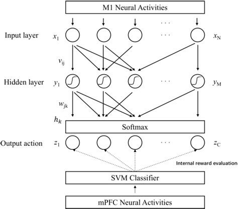 Figure 1 From Modelling Mpfc Activities In Reinforcement Learning Framework For Brain Machine