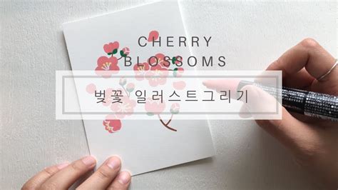곰손들을 위한 일러스트 그리기 벚꽃 Youtube