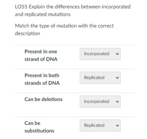 Solved Lo55 Explain The Differences Between Incorporated And