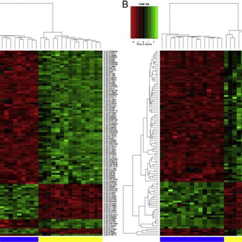 The Heatmap Is Showing The 100 Most Differentially Expressed MRNA A