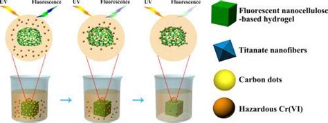 掺入钛酸盐纳米纤维的荧光纳米纤维素基水凝胶，用于 Cr（vi） 的吸附和检测 International Journal Of Biological Macromolecules X Mol
