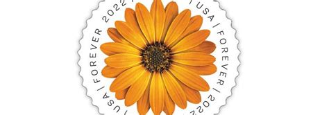 New Us Global Forever Stamp Features African Daisy