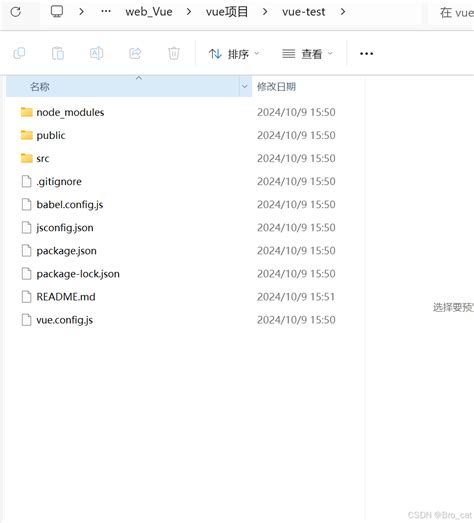 Vue脚手架项目创建 保姆级教程 Csdn博客 Vue脚手架项目创建 保姆级教程 Csdn博客