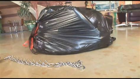 Roxy Reynolds Porn Videos Porn Star Sex Scenes Xhamster