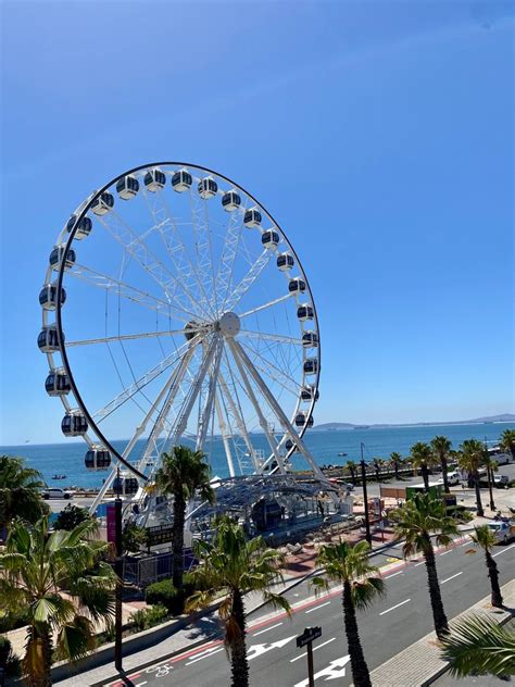 Deidre Meyer Posted On Linkedin