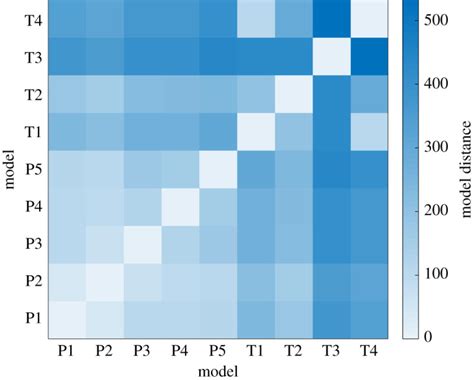 Turing Pattern Design Principles And Their Robustness Pmc