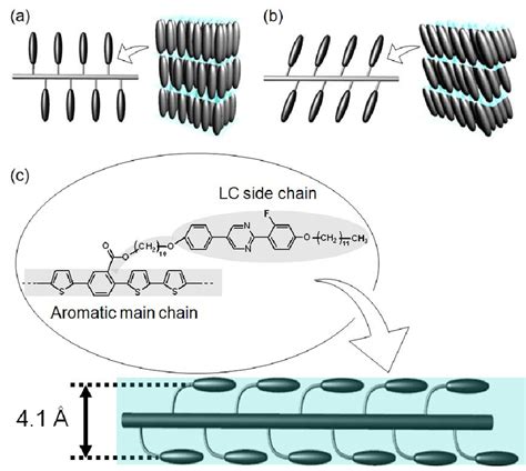 Possible Structures Of Lc Polymers A Sma Phase B Smc Phase C N