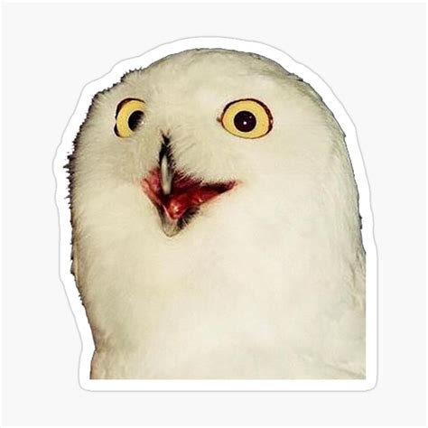 Orly Meme O Rly Image Gallery Sorted By Score Know Your Meme