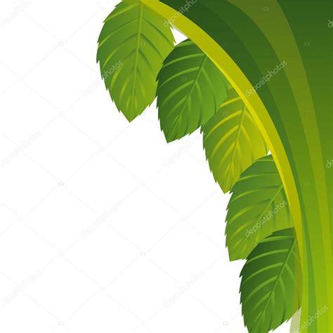 Leaves Stock Vector Image By ©yupiramos 11348935