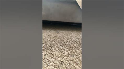 January 8 2025 Youtube