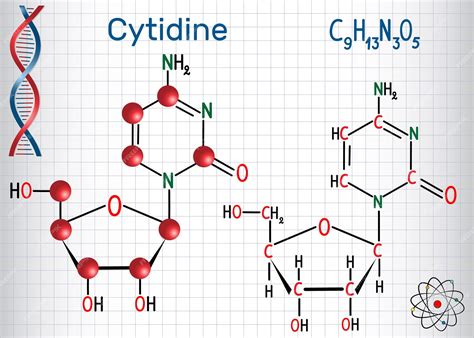 Premium Vector Cytidine Pyrimidine Nucleoside Molecule Is Important