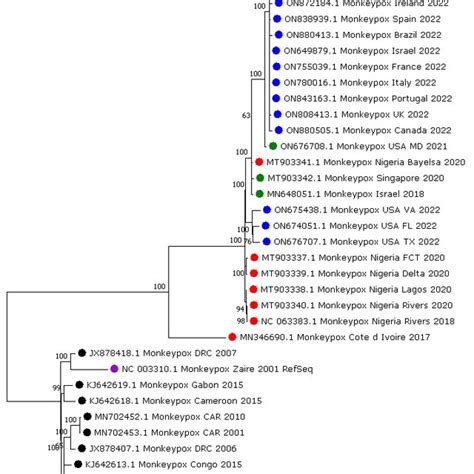 Merit And Demerits Of Mpox Diagnostic Techniques Download Scientific