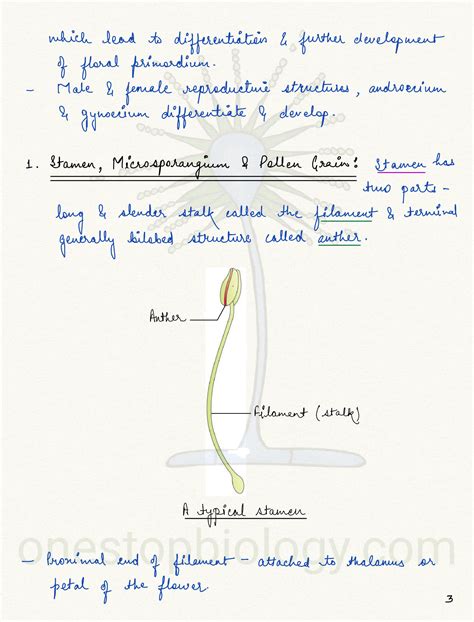 SOLUTION Class Ncert Chapter Sexual Reproduction In Flowering Plants Studypool