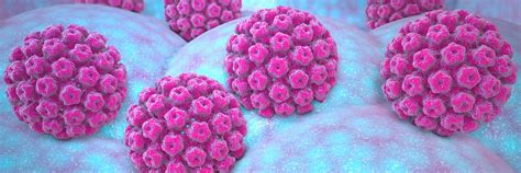 Hpv Tra Campagne Di Screening E “value Based Vaccination” Per
