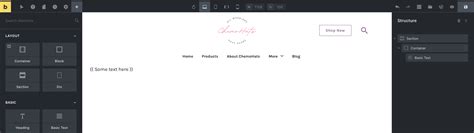 duplicate editing page in bricks won t show the single page template