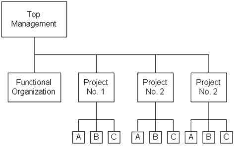 Organizing For Project Management Project Management For Construction