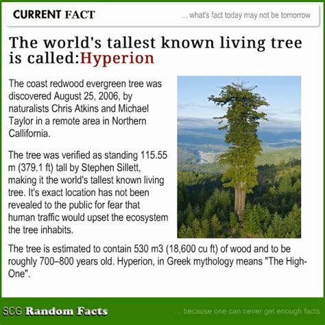 Current Fact 1 The Worlds Tallest Known Living Tree Is Called