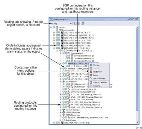 Bgp Configuration Workflow And Procedures
