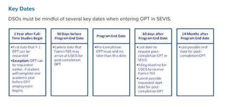 A Comparison Chart Cpt Vs Opt Vs Stem Opt