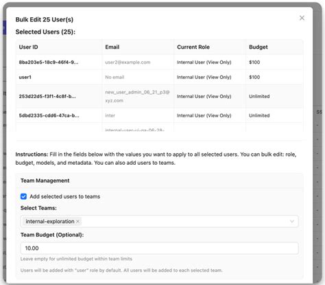 Bulk Edit Users Litellm