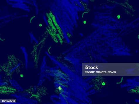 Cute Crayon Texture Stock Illustration Download Image Now Abstract Artist Blue Istock