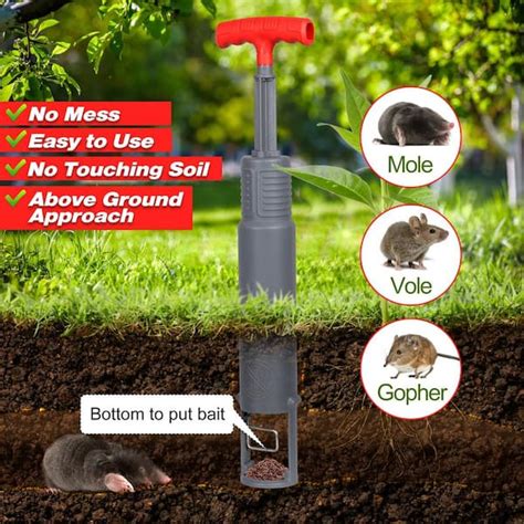 Humane Mole Traps