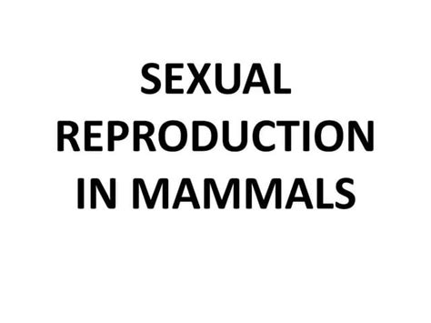 Female Reproductive System 2 Histology Of Ovary Oogenesis