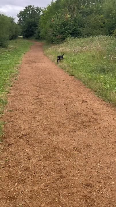 Martin Teasdale On Linkedin Have You Seen The New Tv Comedy Show Ruby Speaking Based In A Contact