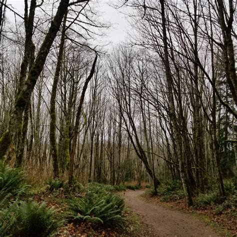 Red Town Meadow And Trails Marshalls Hill Wildside Trail De Leo Wall Indian Trail Far Country
