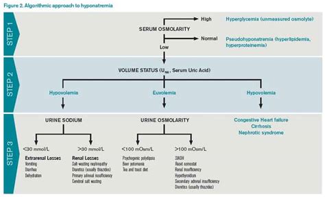 How Should Hyponatremia Be Evaluated And Managed Page 2 Of 4 The