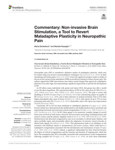 Pdf Commentary Non Invasive Brain Stimulation A Tool To Revert