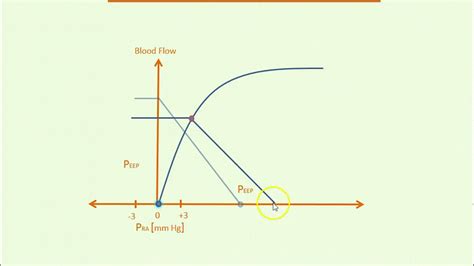 Icu Physiology In 1000 Words Ivc Collapse Revisited Part 2