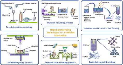 Schematic Illustration Of Rapid Prototyping Techniques In Scaffold