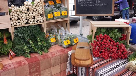 Discovery Elementary School Discovery Elementary School