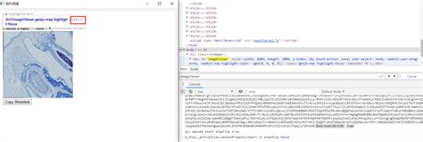 How To Use Geo Js To Get Tiles From Whole Slide Image Without A Web Service For Example In PyQt