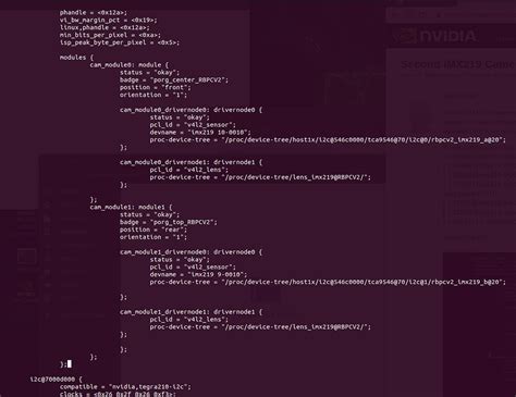Second Imx219 Camera Error 121 Jetson Nano Nvidia Developer Forums
