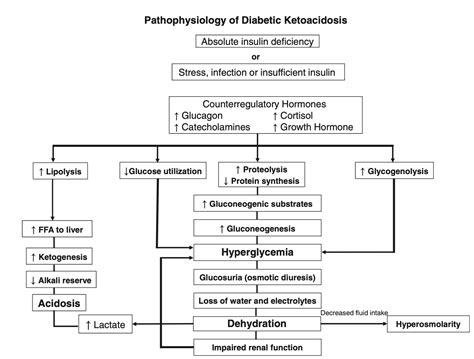 Summary Of Diabetic Ketoacidosis Dka Management