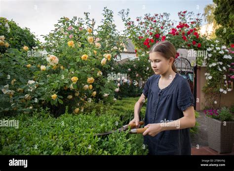 Big Bush Woman Hi Res Stock Photography And Images Alamy
