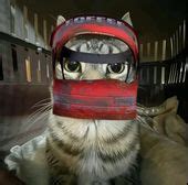 Rust Game Pfp