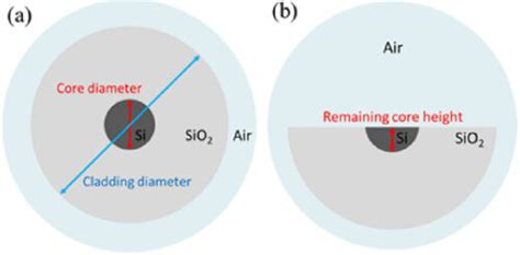 Schematic Of A A Normal Scf Representing The Cross Section Of A Download Scientific Diagram