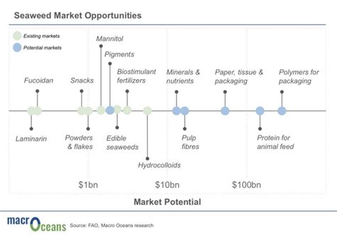 New Approaches To The Seaweed Processing Conundrum