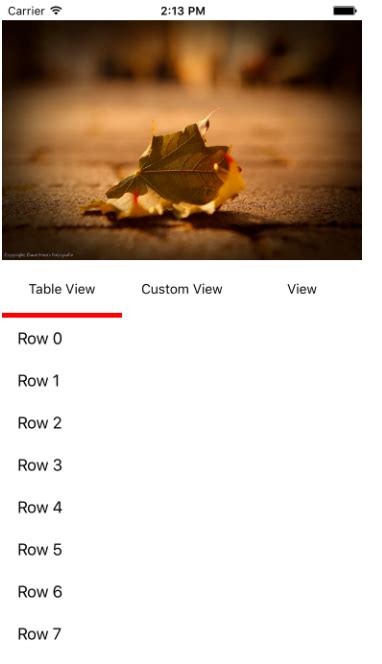 Uitableview Ios Scrollview Container Pageviewcontroller