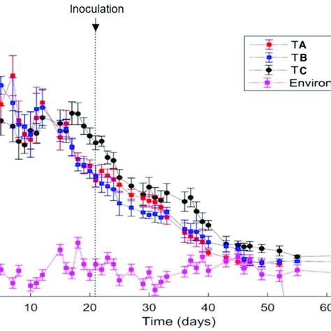 Temperature Profiles During The Composting Process Download Scientific Diagram